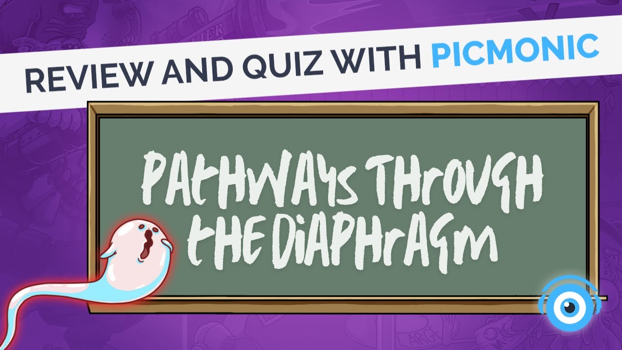 Pathways Through the Diaphragm Review & Quiz | Picmonic - YouTube