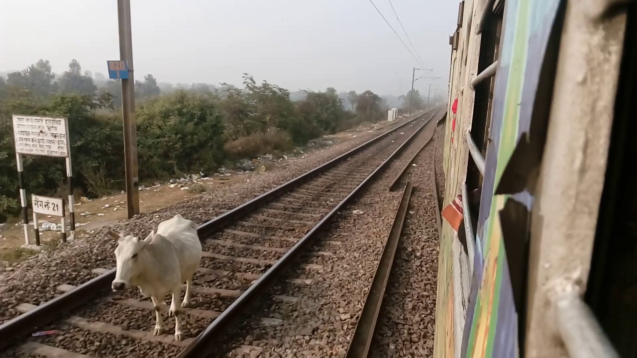Howrah Duronto express crossing Yamuna bridge and Naini station. - YouTube