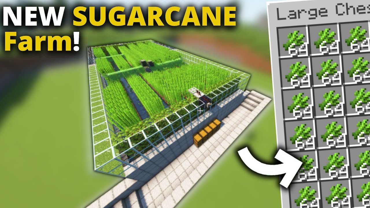 Minecraft Fastest SugarCane Farm In 1.21+ - 2500+ P/HR! - YouTube