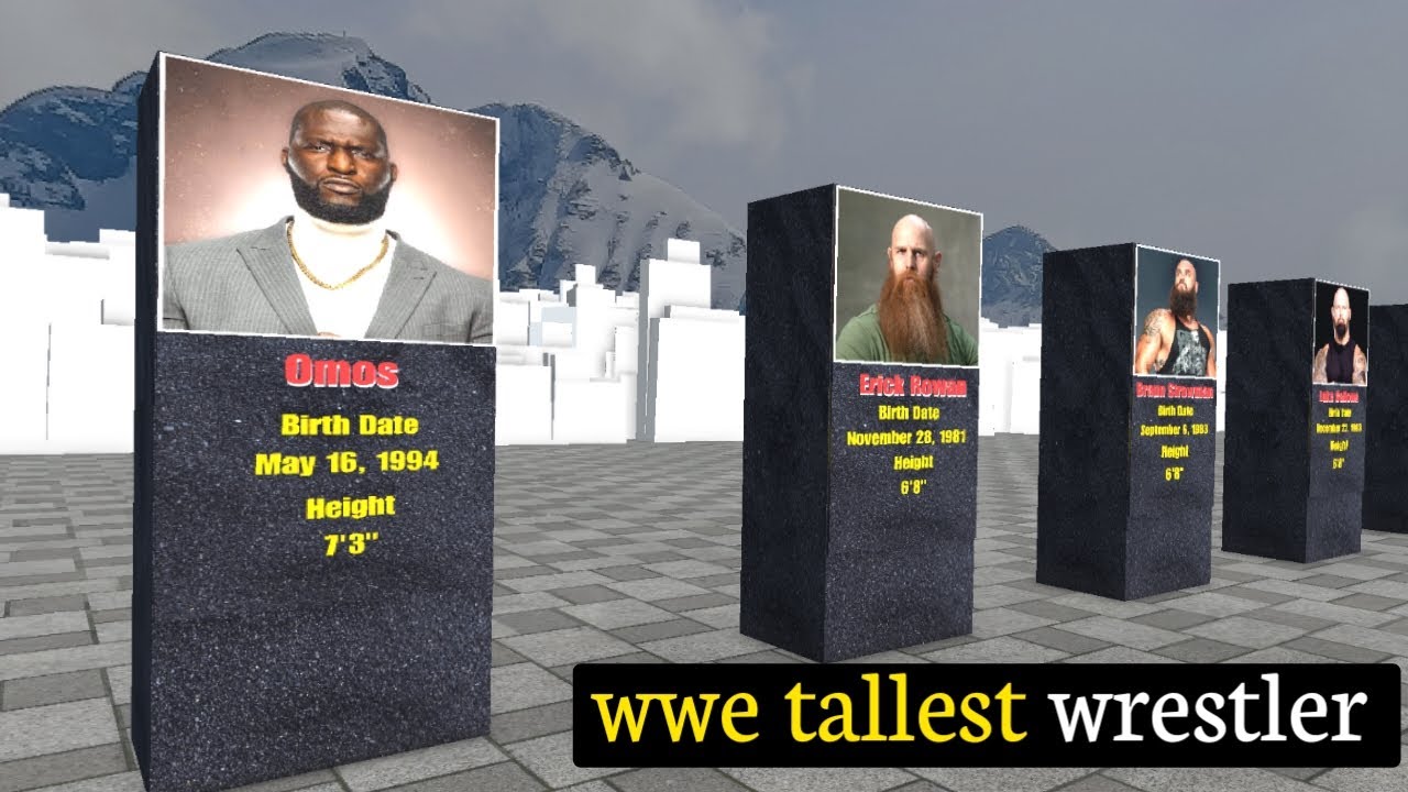 tallest wwe wrestler 2024|wwe superstar Height comparison|wwe tallest ...