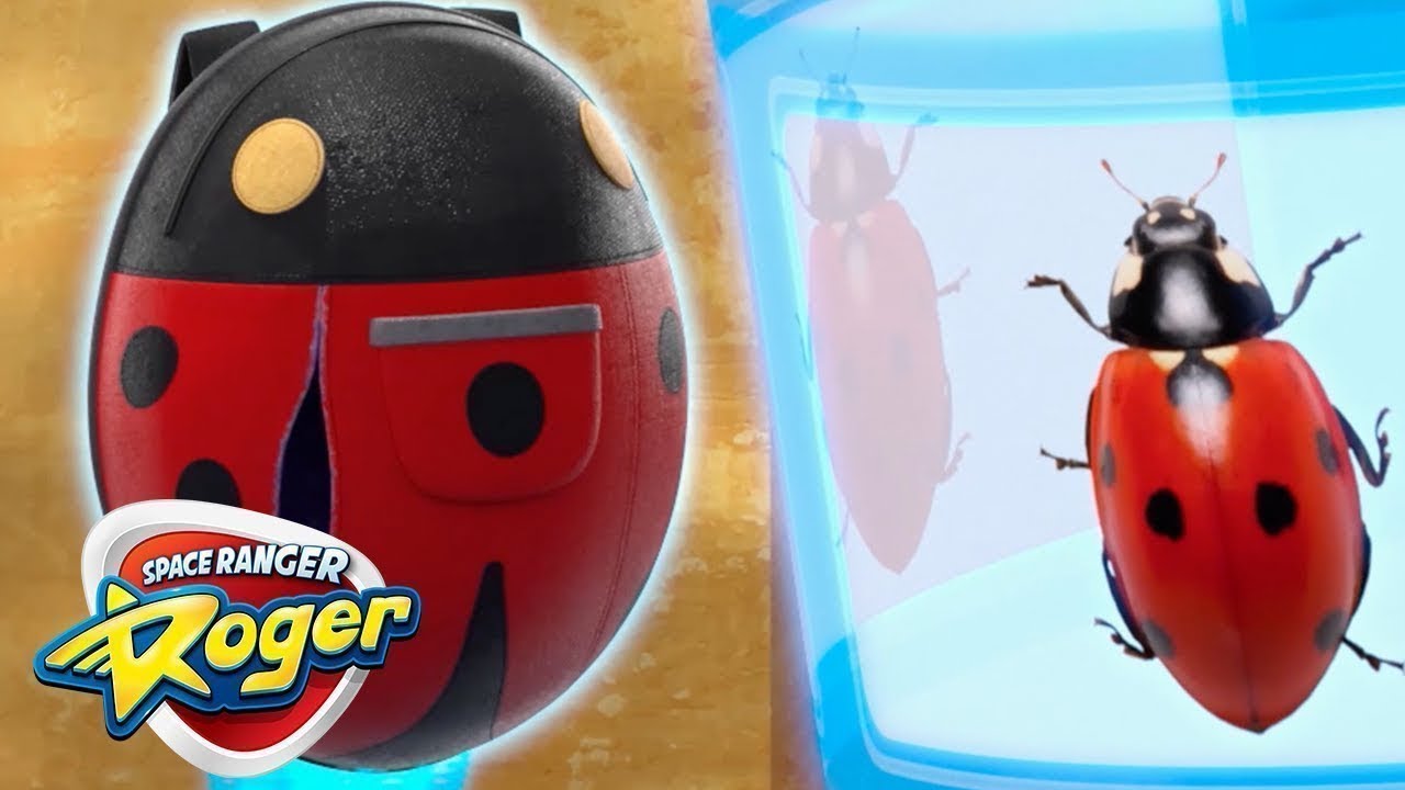 Cartoons for Children | Roger and The Ladybug Bag | Hero Cartoon ...