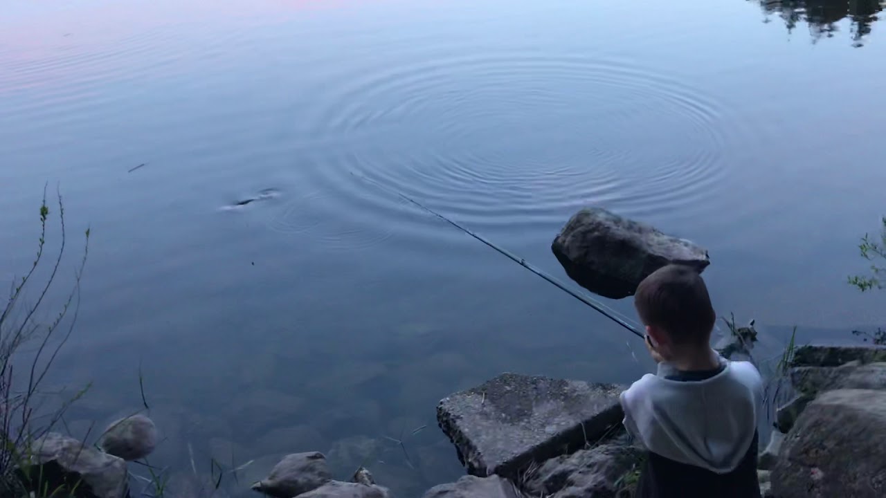 Lake Padden 2019 - YouTube