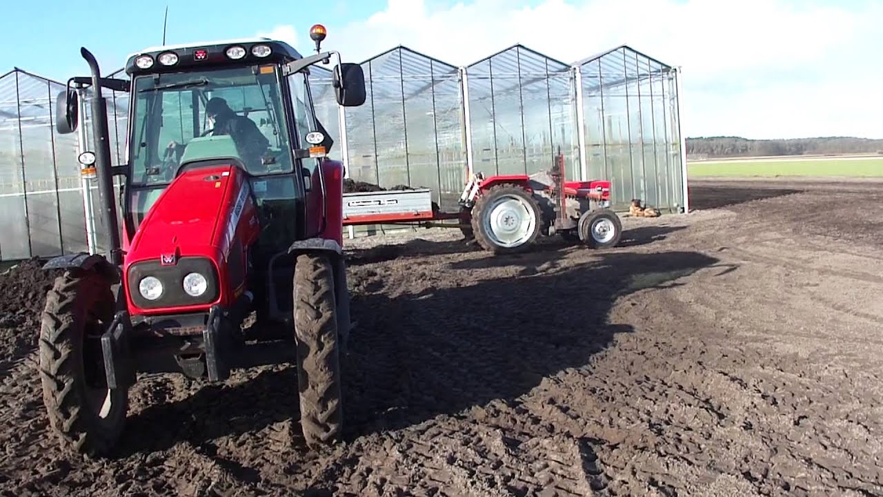 MF 5445 en MF 135 mest laden - YouTube