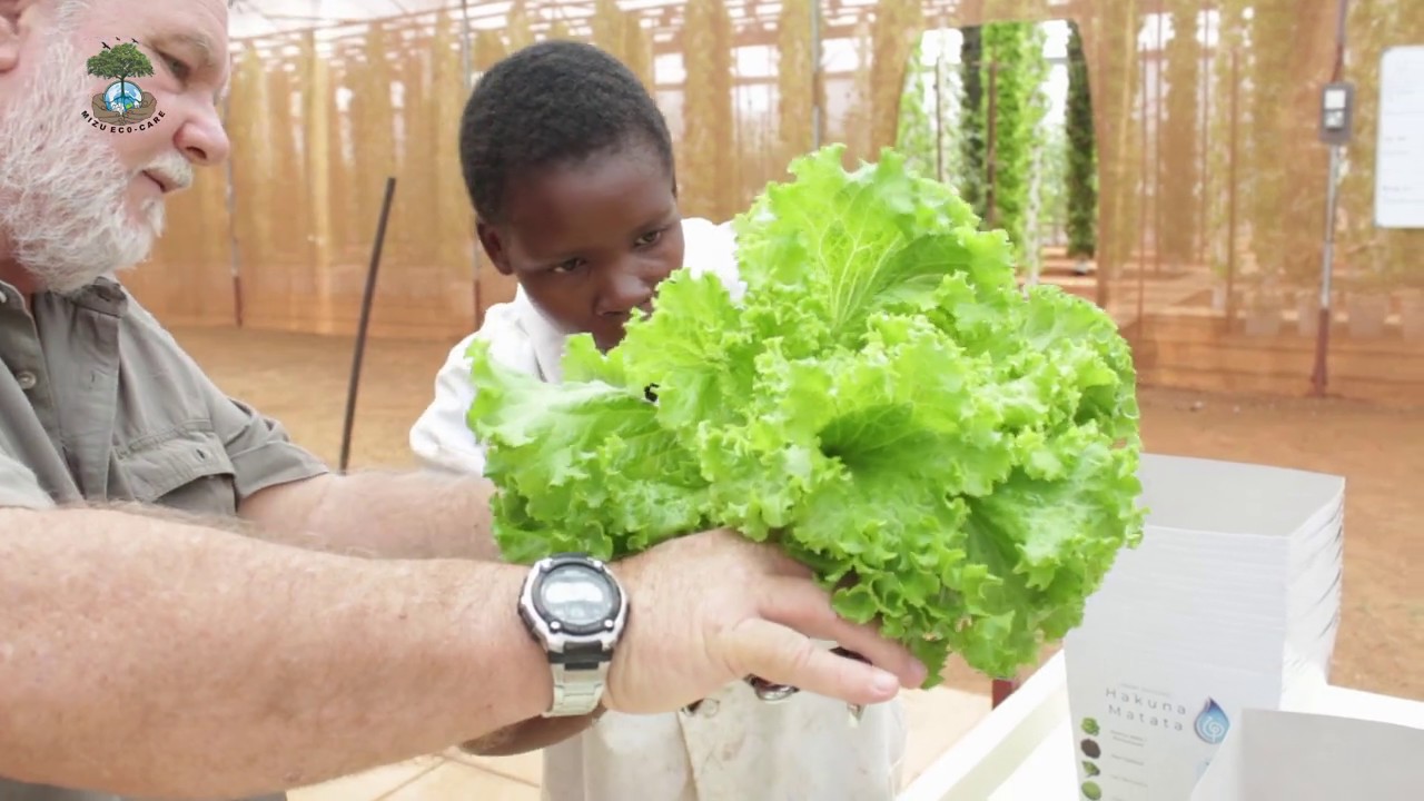 #TBT - HAKUNA MATATA FARM - YouTube