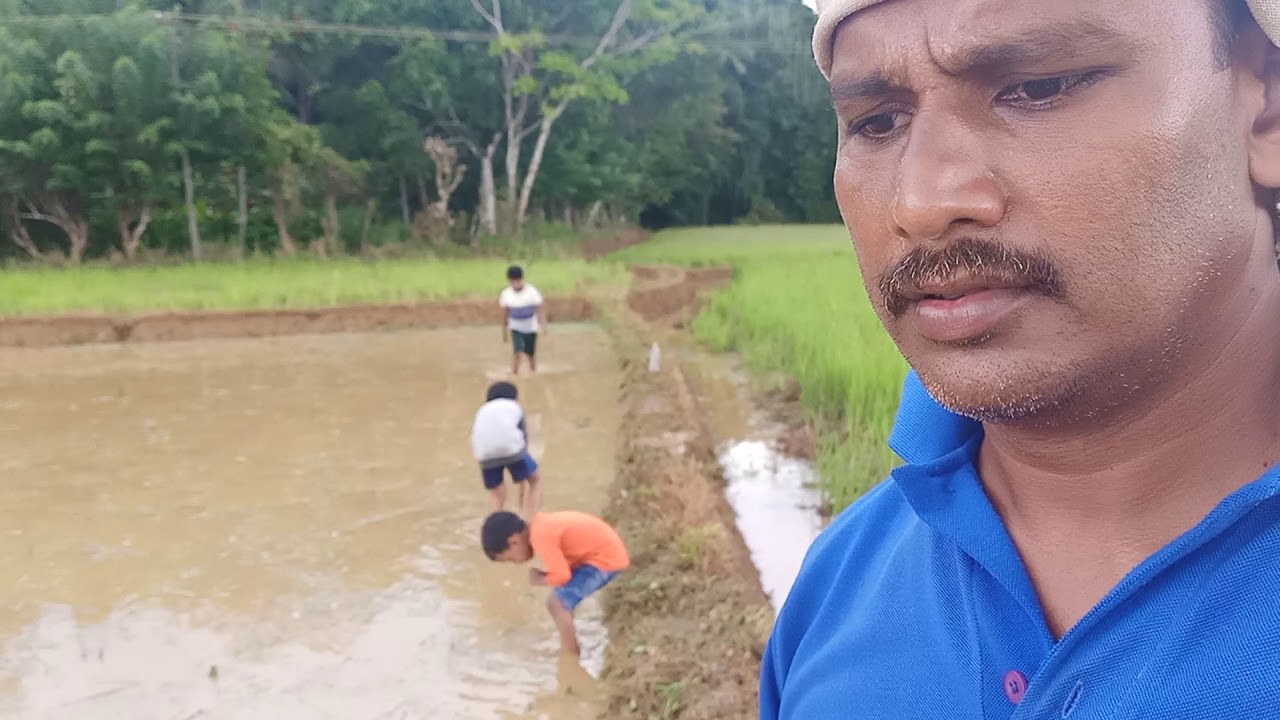 Santhosh. Panicker. Srevalsam. Vol. 24 - YouTube