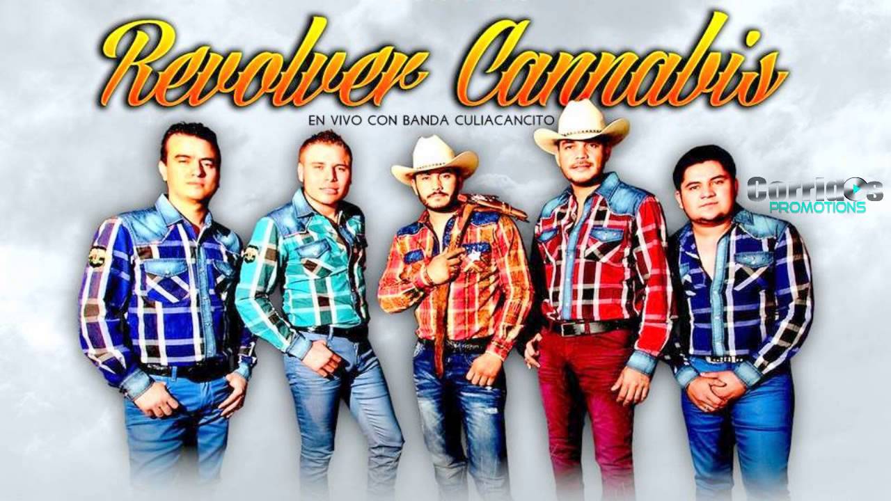 Revolver Cannabis-Javier De Los Llanos(EN VIVO CON BANDA)[2014] - YouTube
