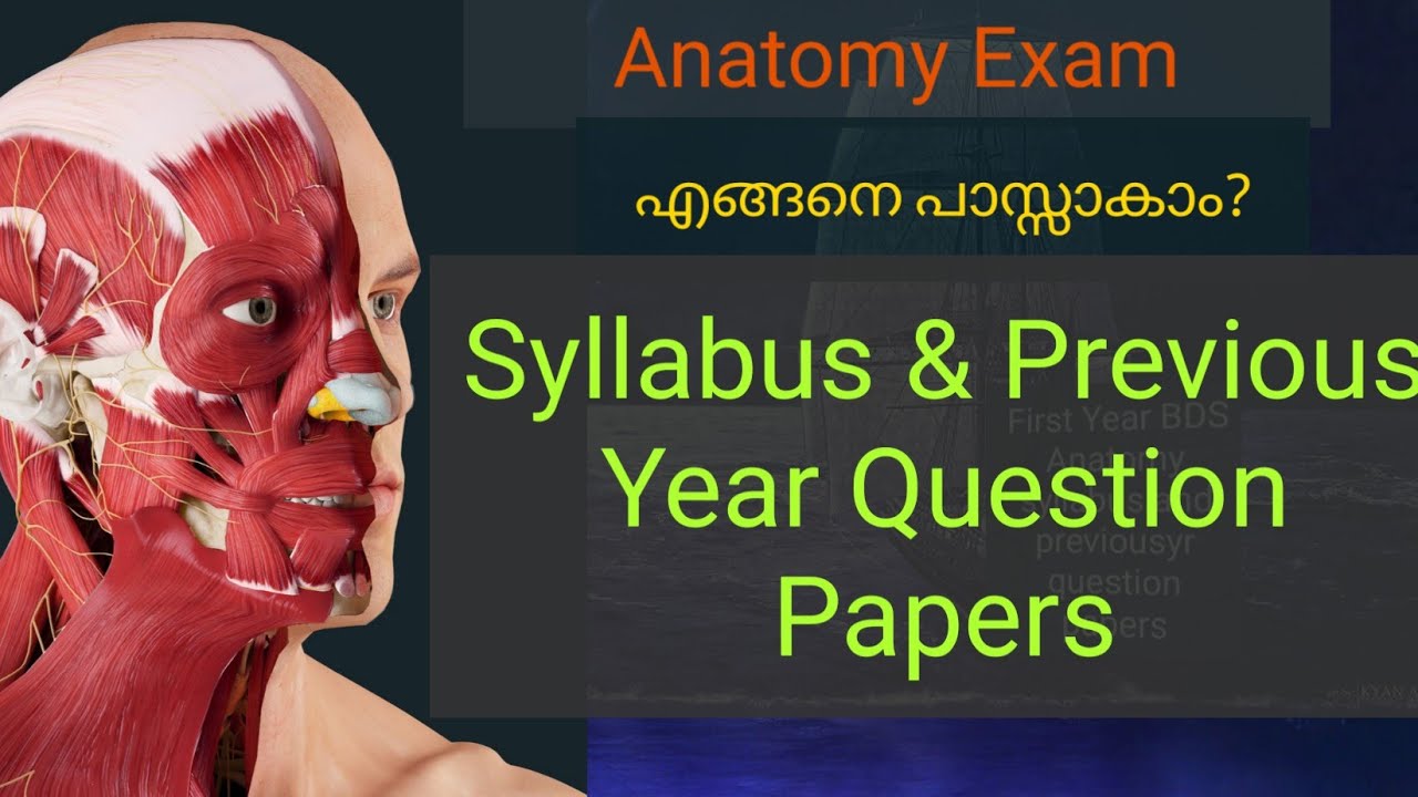 How To Study Anatomy Effectively First Year BDS Anatomy Syllabus And How To Study Anatomy Effectively First Year BDS Anatomy Syllabus And