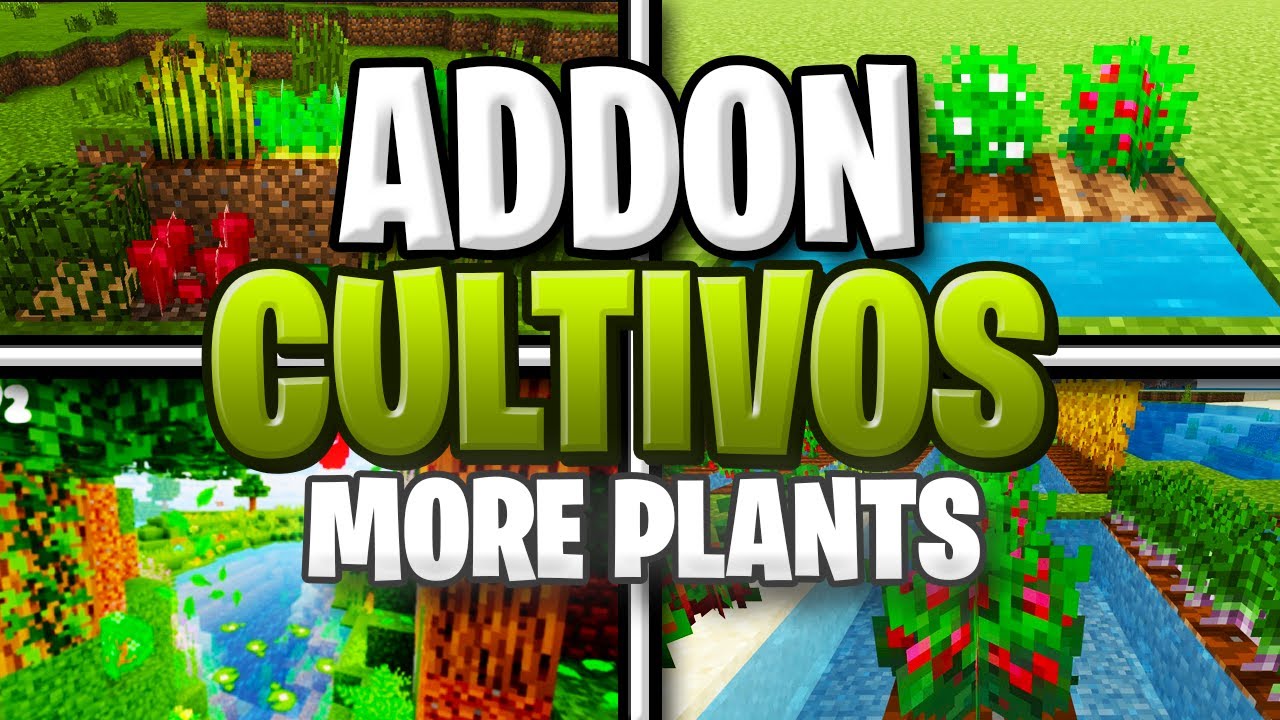 ADDON de mas CULTIVOS para MINECRAFT PE 1.17 * more plants adddon ...