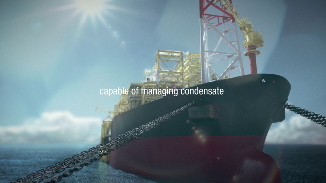 Tortue project - YouTube