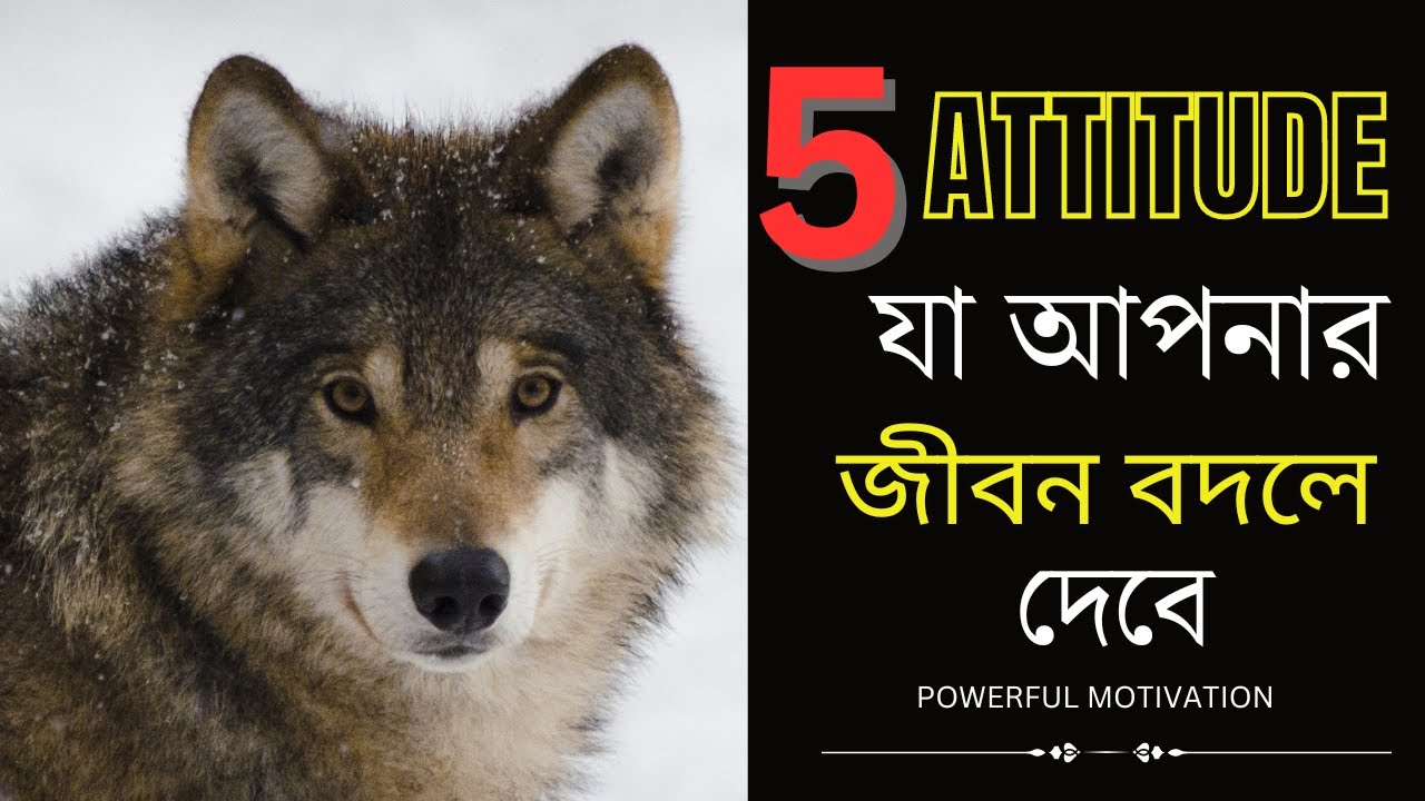 Wolf Attitude / Wolf Mindset / Wolf Mentality Motivational Video in ...