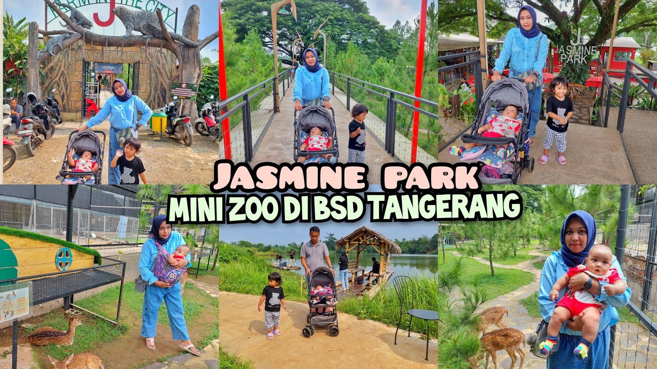 JASMINE PARK mini zoo di BSD TANGERANG #jasminepark #jasminpark - YouTube