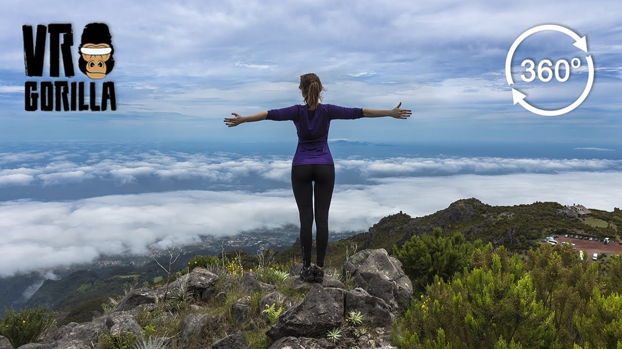 Meditation VR: Island of Madeira With Mountains, Flowers & Ocean - 360 ...