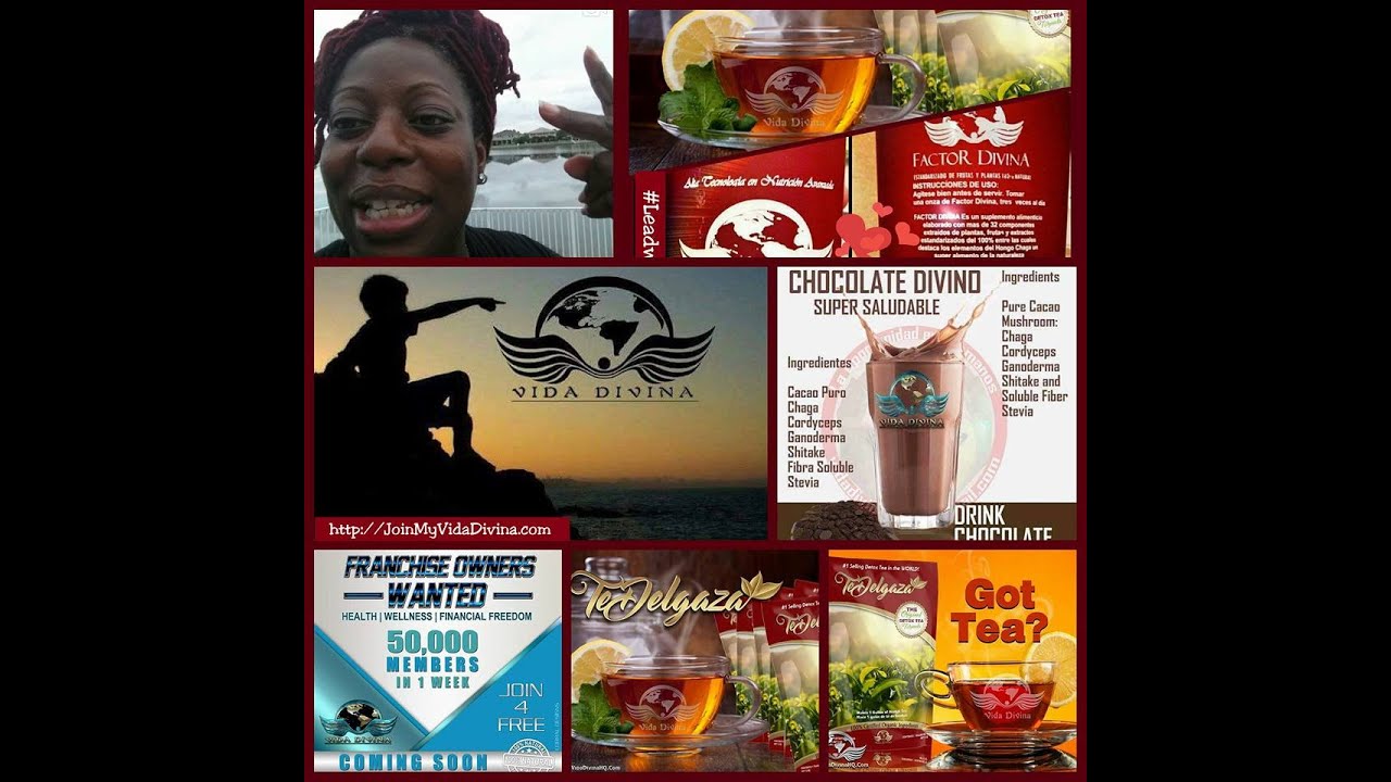 Vida Divina Update - 4th of July 2016 - Why Y-O-U Need to Join Now ...