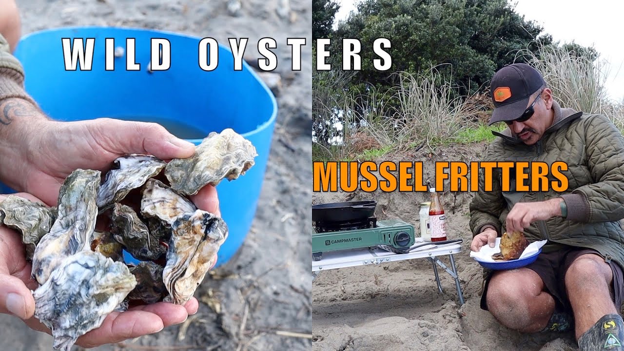 Delicious MUSSEL & KŪMARA Fritters | Mangrove Oysters - YouTube