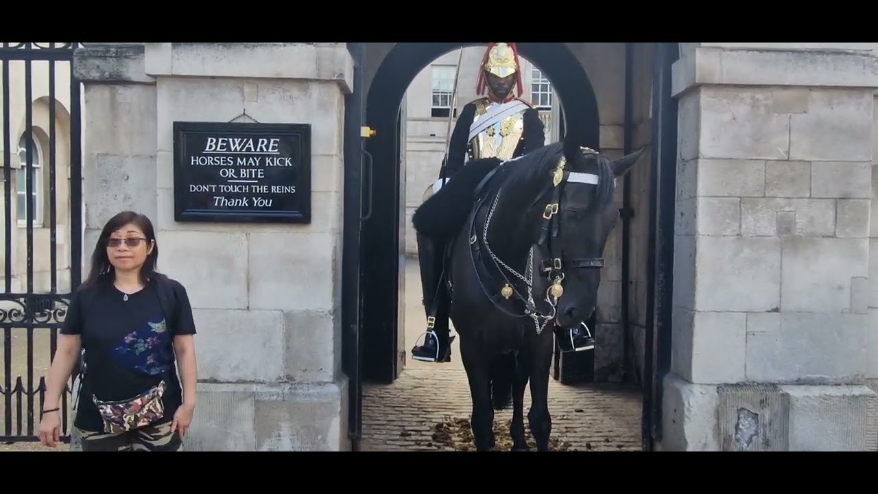 King's guard stand clear trying to touch the horse they are about to go ...