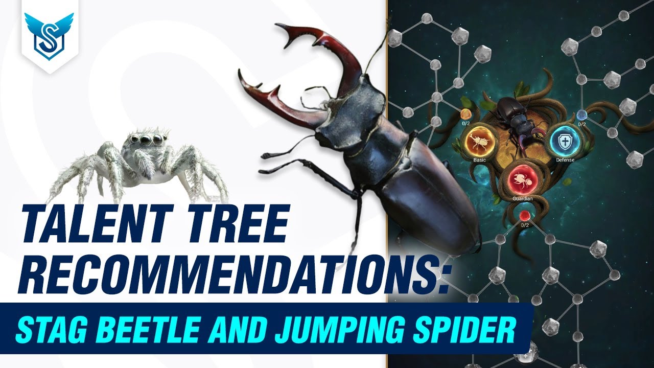 Talent Tree Recommendations: Stag Beetle and Jumping Spider - The Ants ...