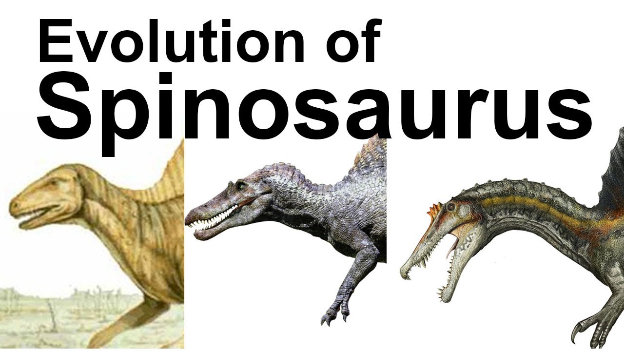 Evolution of Spinosaurus - YouTube