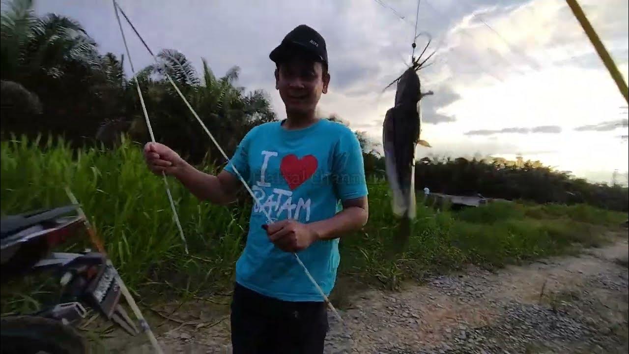 lembat rawa sangat agresif sekali || baru jatuh umpan langsung di sambar !! - YouTube