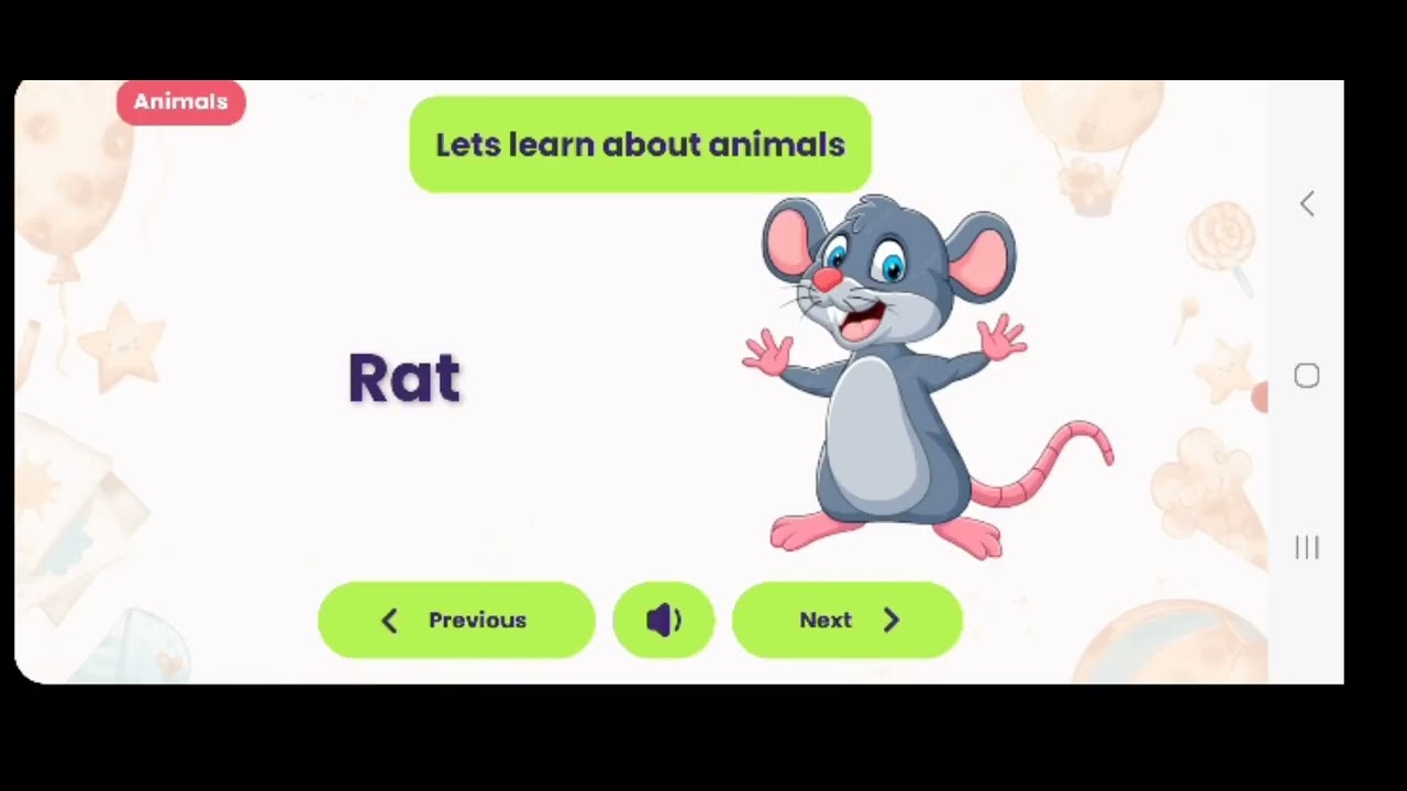 animal Names - YouTube