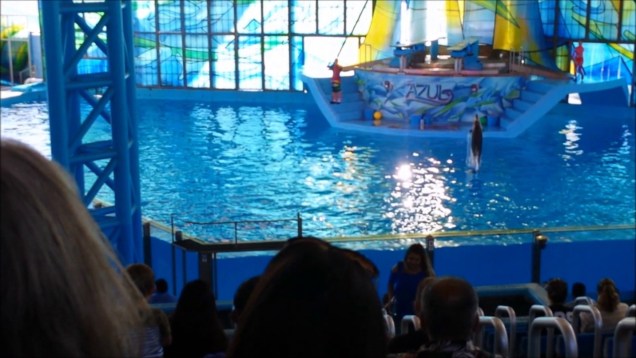 Azul! SeaWorld San Antonio 2016! - YouTube