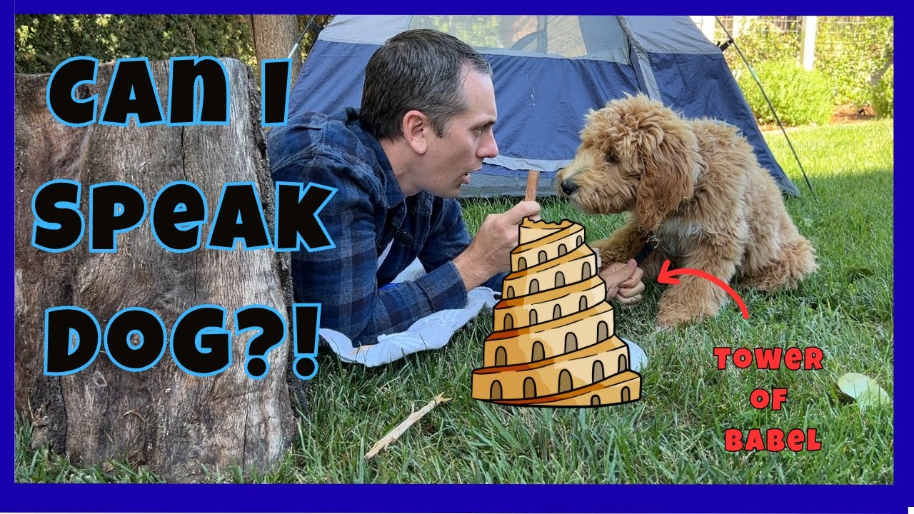 Tower of Babel Retold for Kids...and Dogs - YouTube