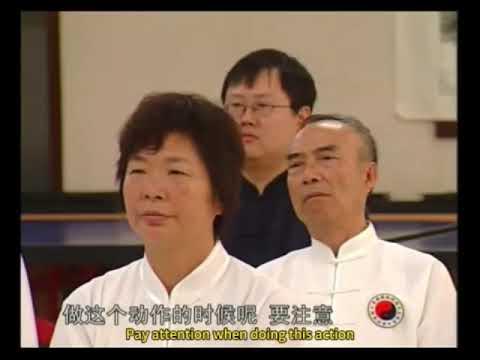 Yang Style Tai Chi 85 Forms. Master Zhao Youbin. Part 6 - YouTube