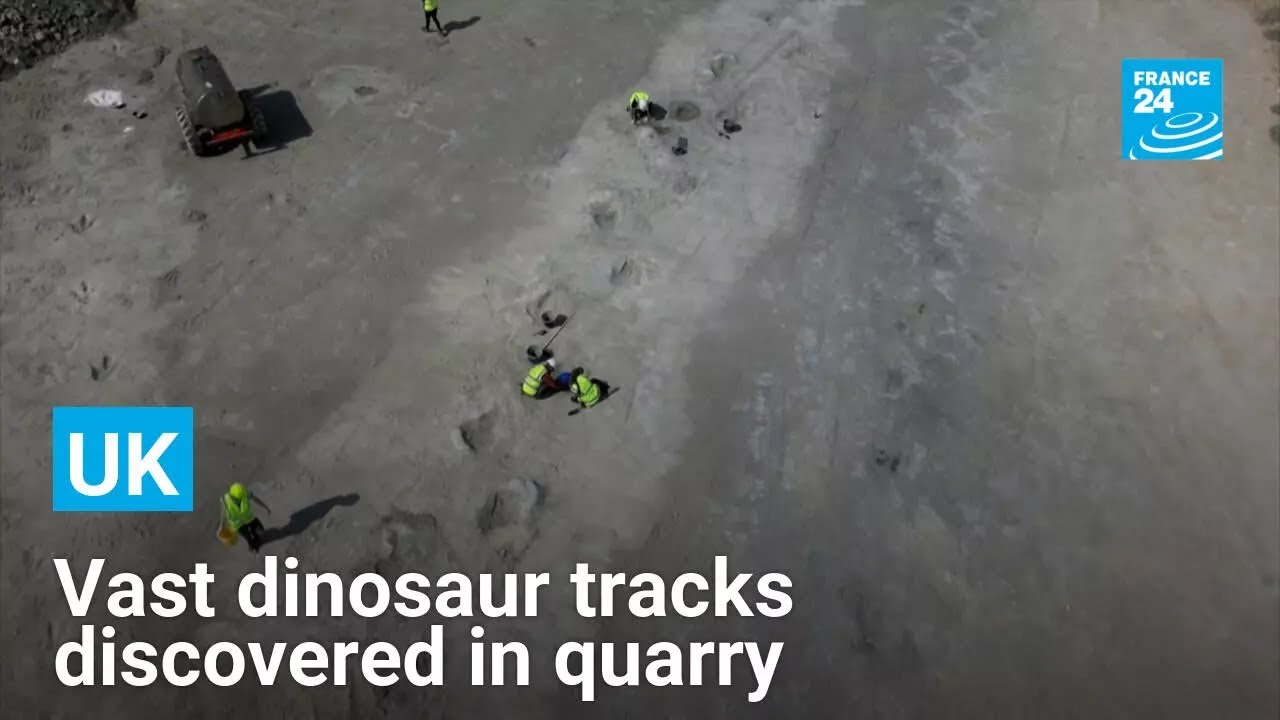 Dinosaur Tracks