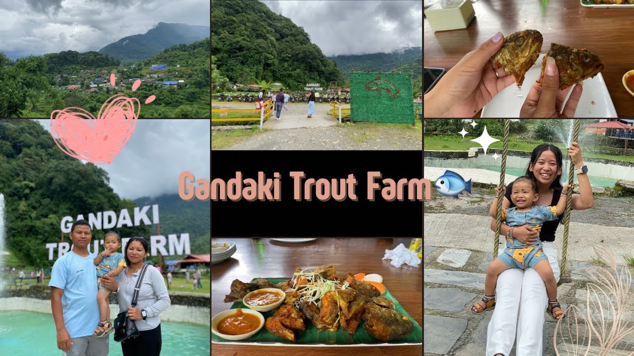 Bhujung khola Maccha khana gako maccha vanda view man paryo😁💚 ...