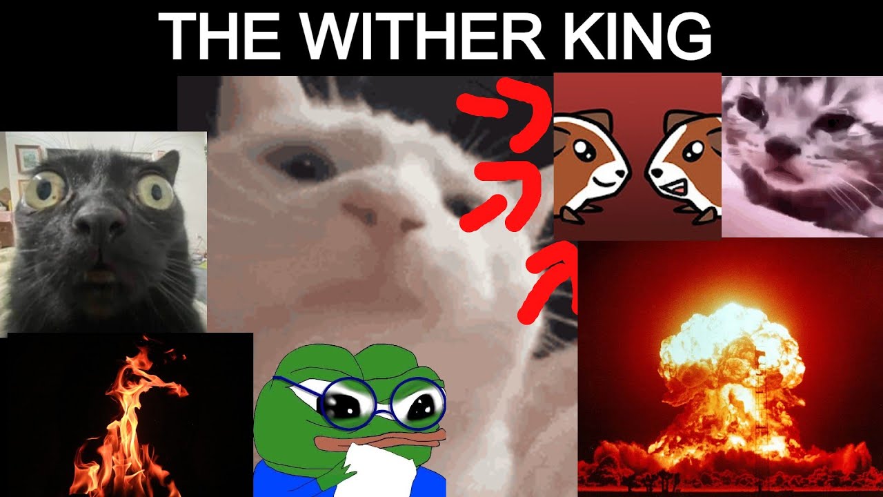 Every Skyblock OST got me like... | Hypixel Skyblock Meme Compilation ...