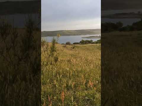 Yollar seni Gide Gide usandım / ...
