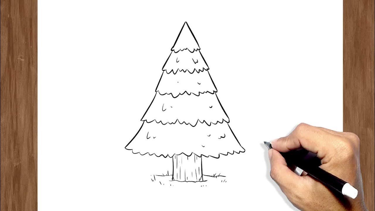 How to Draw Pine Tree - YouTube