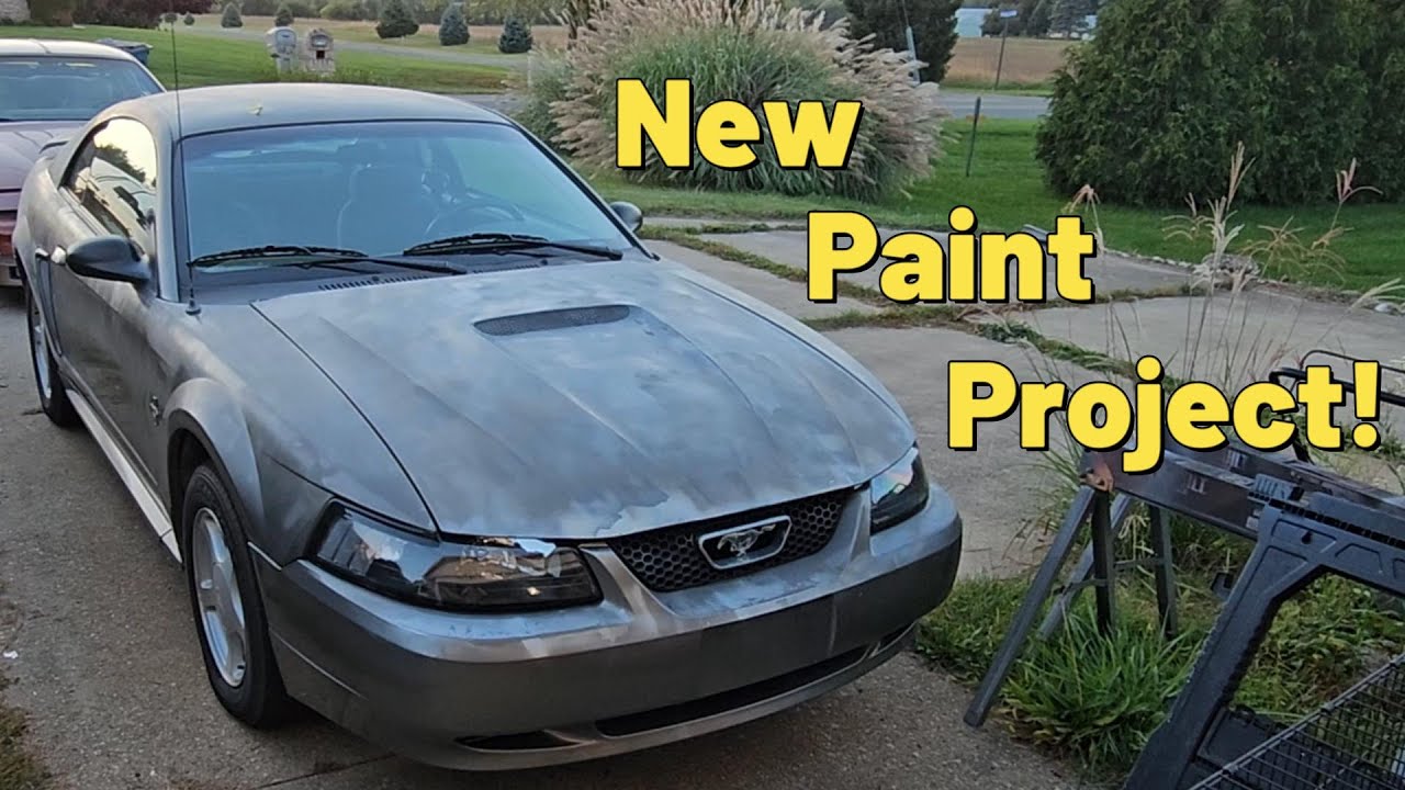 New 2001 Mustang Paint Project Walkaround. - YouTube