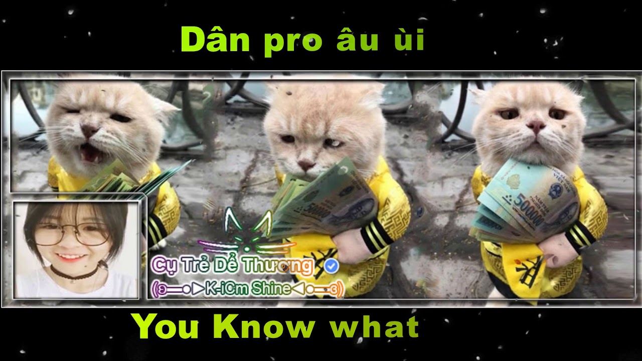 You Know What Remix (Dan-kinh) DJ cực phiêu - YouTube