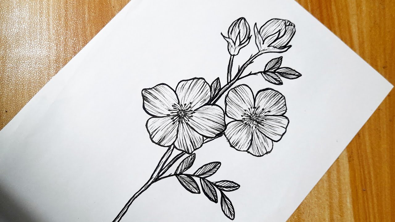 How To Draw Flowers Easy Step By Step Tutorial For Beginners - YouTube