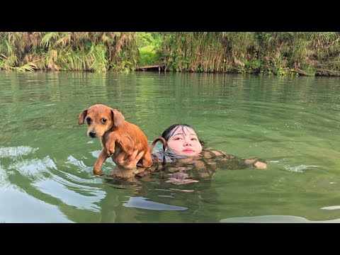My Mother Swam Like an Otter to Save a Dog | A Mother's Act of Kindness in Vietnam
