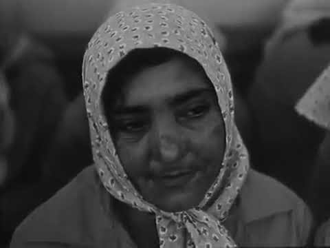 ندامتگاه زنان به روایت کامران شیردل