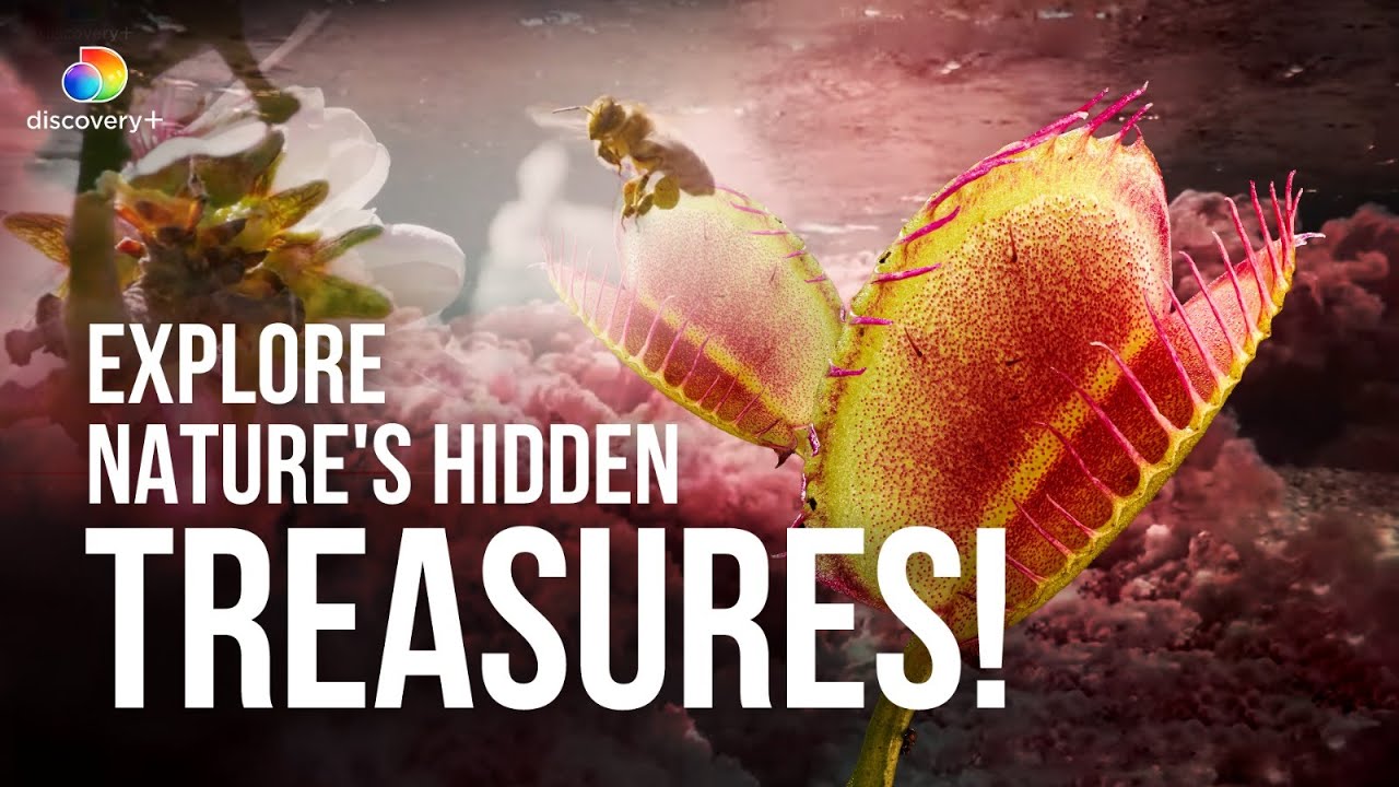 The Fascinating World Of Botanical Wonders | The Green Planet| New ...