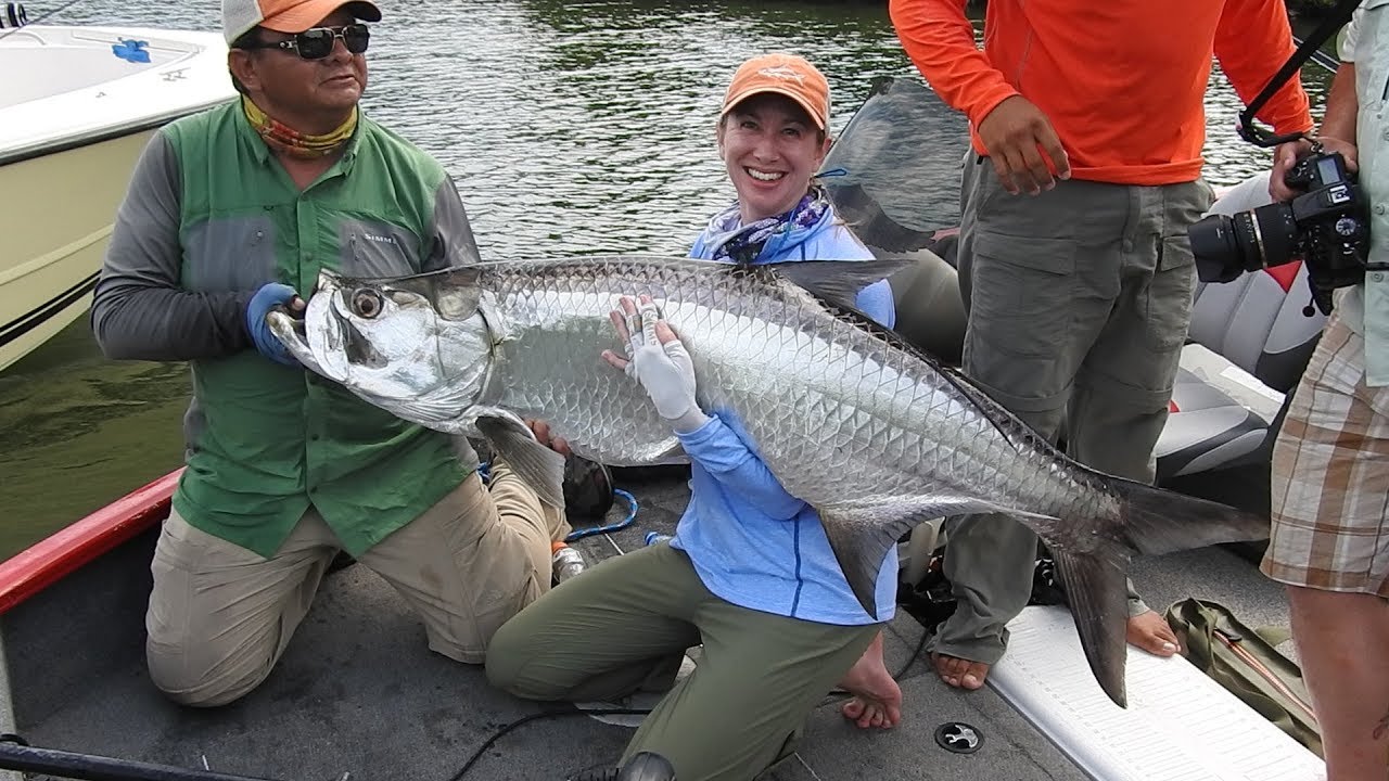 SABALO DE GRAN TAMAÑO CAPTURADO EN PANTANOS DE CENTLA - YouTube