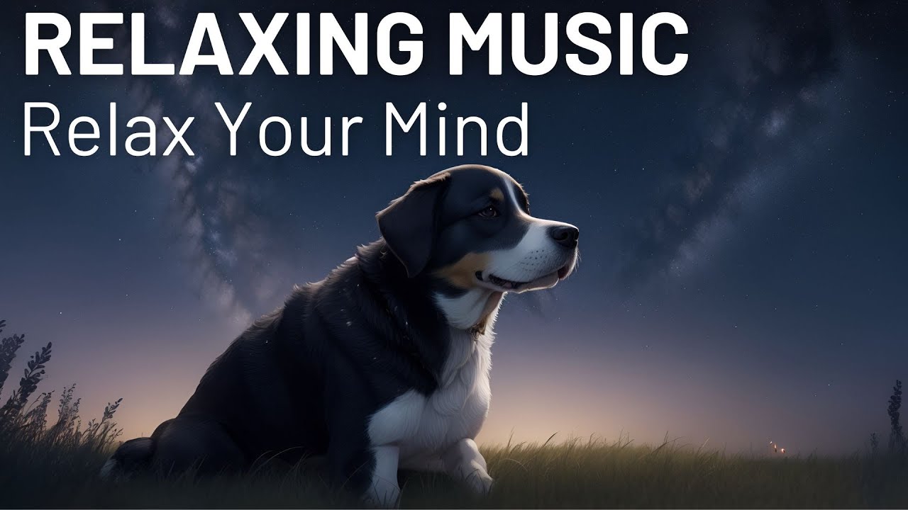 Relaxing Music to Put You In A Better Mood - Calm Anxiety & Depression ...