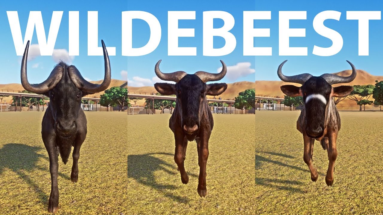 Wildebeest Species Category Speed Races in Planet Zoo included Blue ...