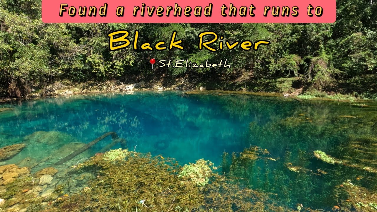 Found a river head that runs to the Black River in St.Elizabeth - YouTube