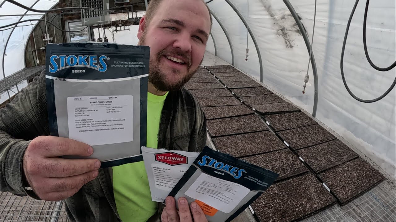 BACK IN ACTION (SEEDING OVER 10,000 PLANTS) - YouTube