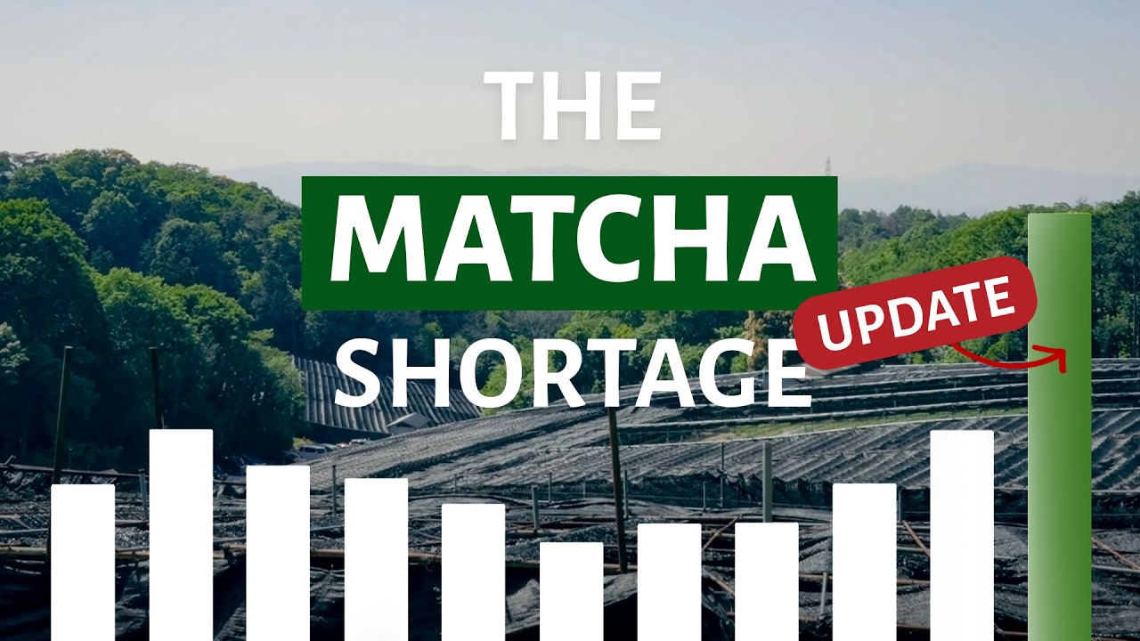 Matcha Shortage Update | Reflections on New Harvest Pricing - YouTube