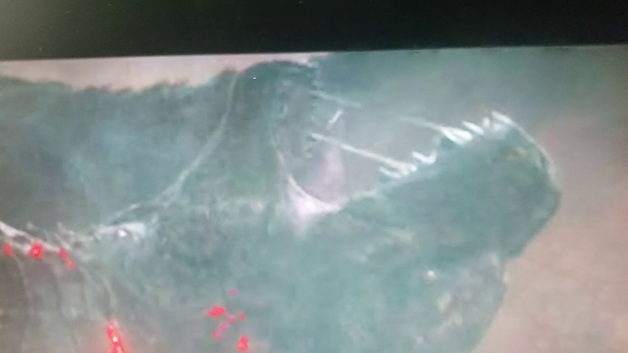 Godzilla roar crying - YouTube