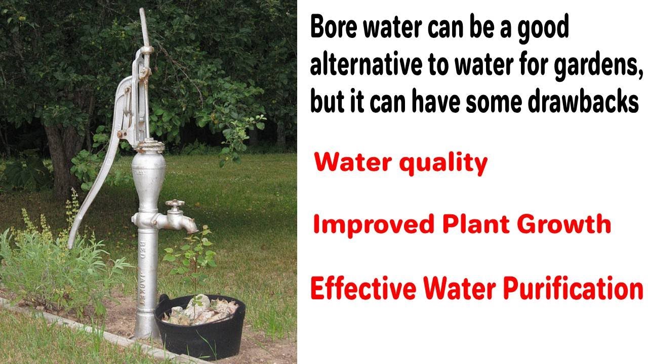 Boring Water for Plant | Bore water can be treated to make it more ...