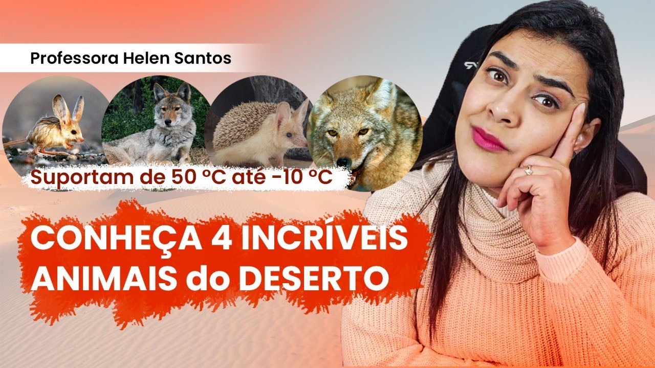 4 INCRÍVEIS ANIMAIS DO DESERTO | Curiosidades biológicas - YouTube