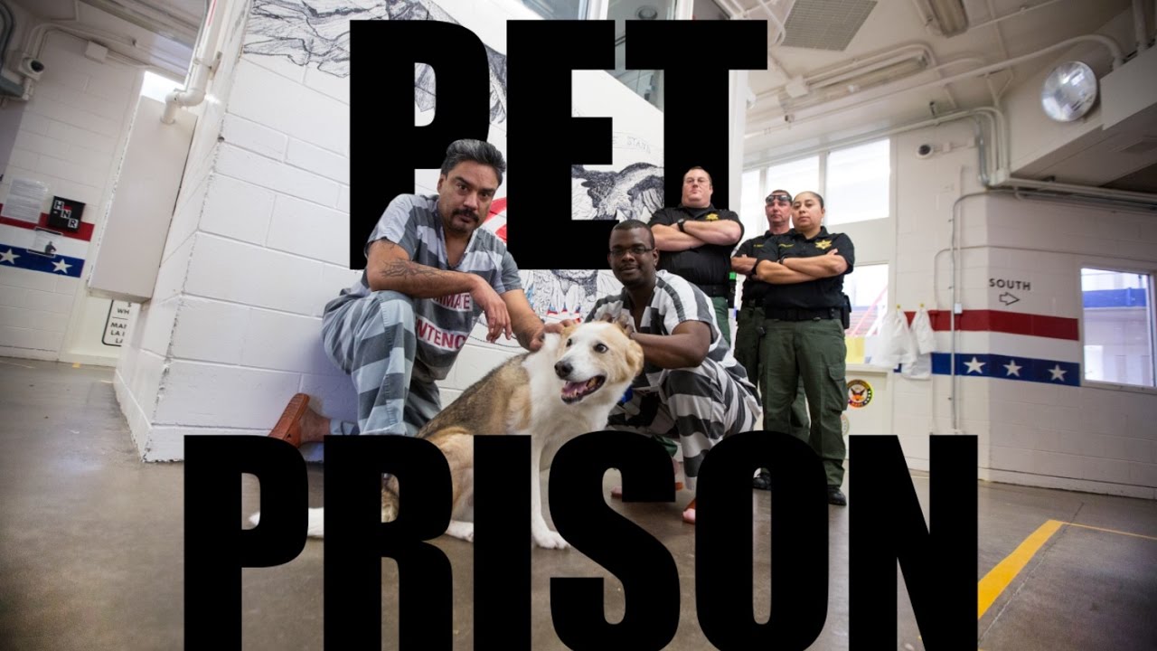 Joe Arpaio & Phoenix Arizona's PET PRISON. - YouTube
