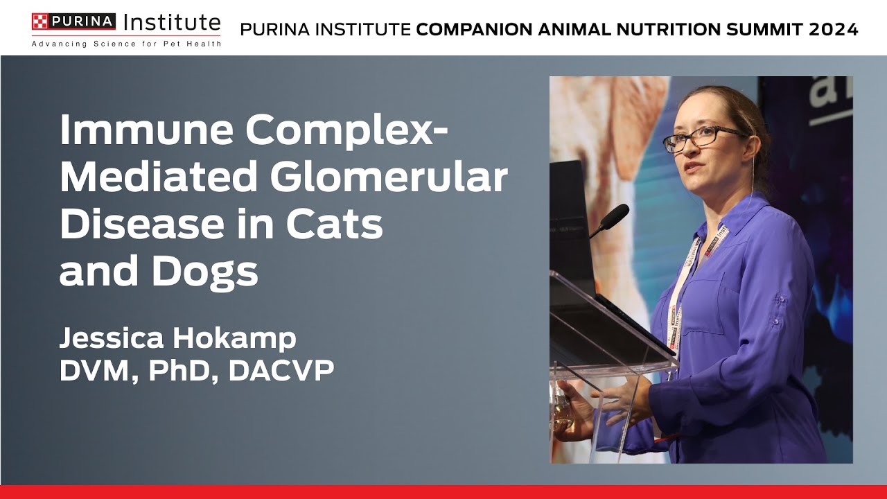 Immune Complex-Mediated Glomerular Disease in Cats and Dogs - Jessica ...
