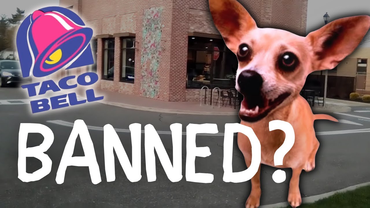 Three years with no Taco Bell? One year update! - YouTube