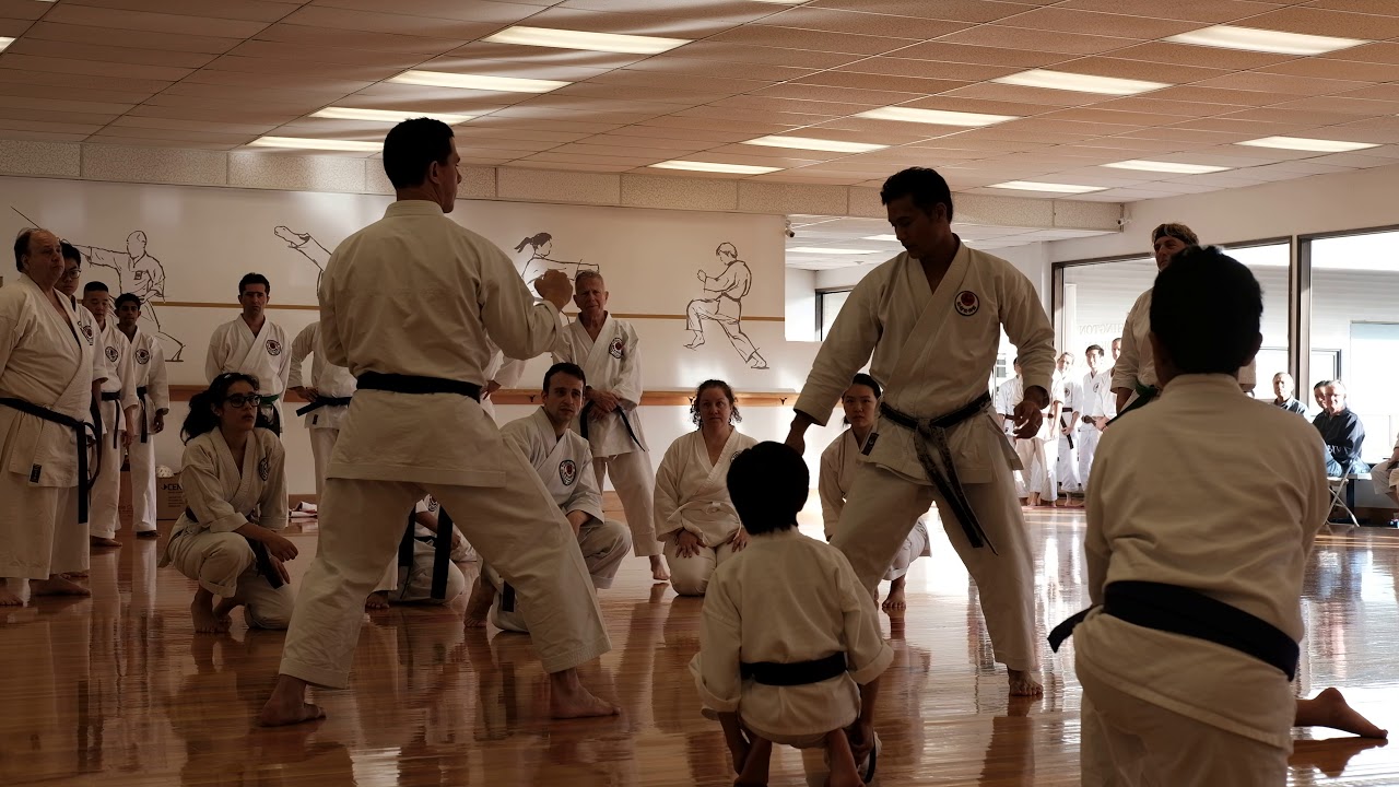 Shihan Kyle Funakoshi demonstrating Mawashi Geri - YouTube